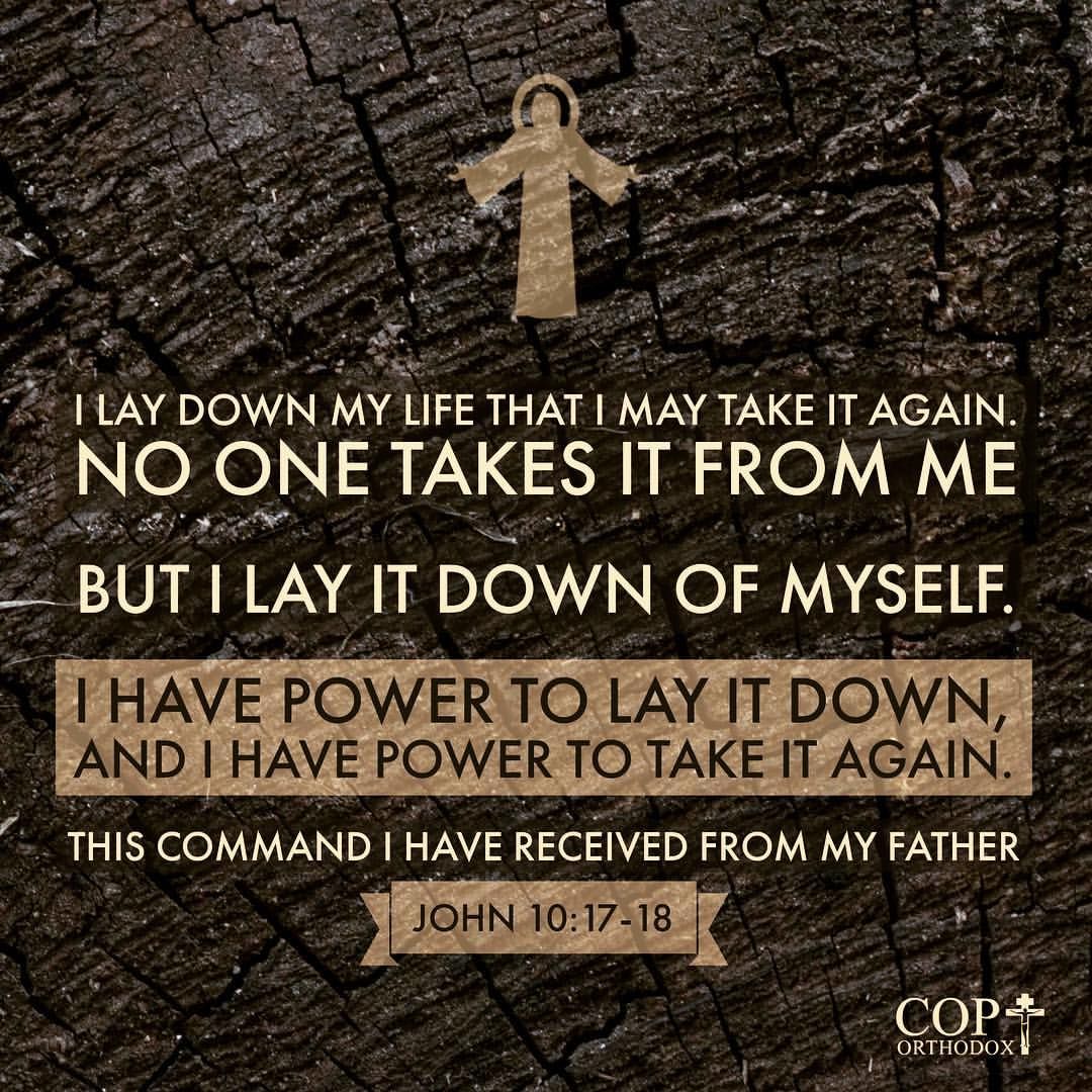 Tim Chaffey | Insights from a husband, father, author, apologist, and ...